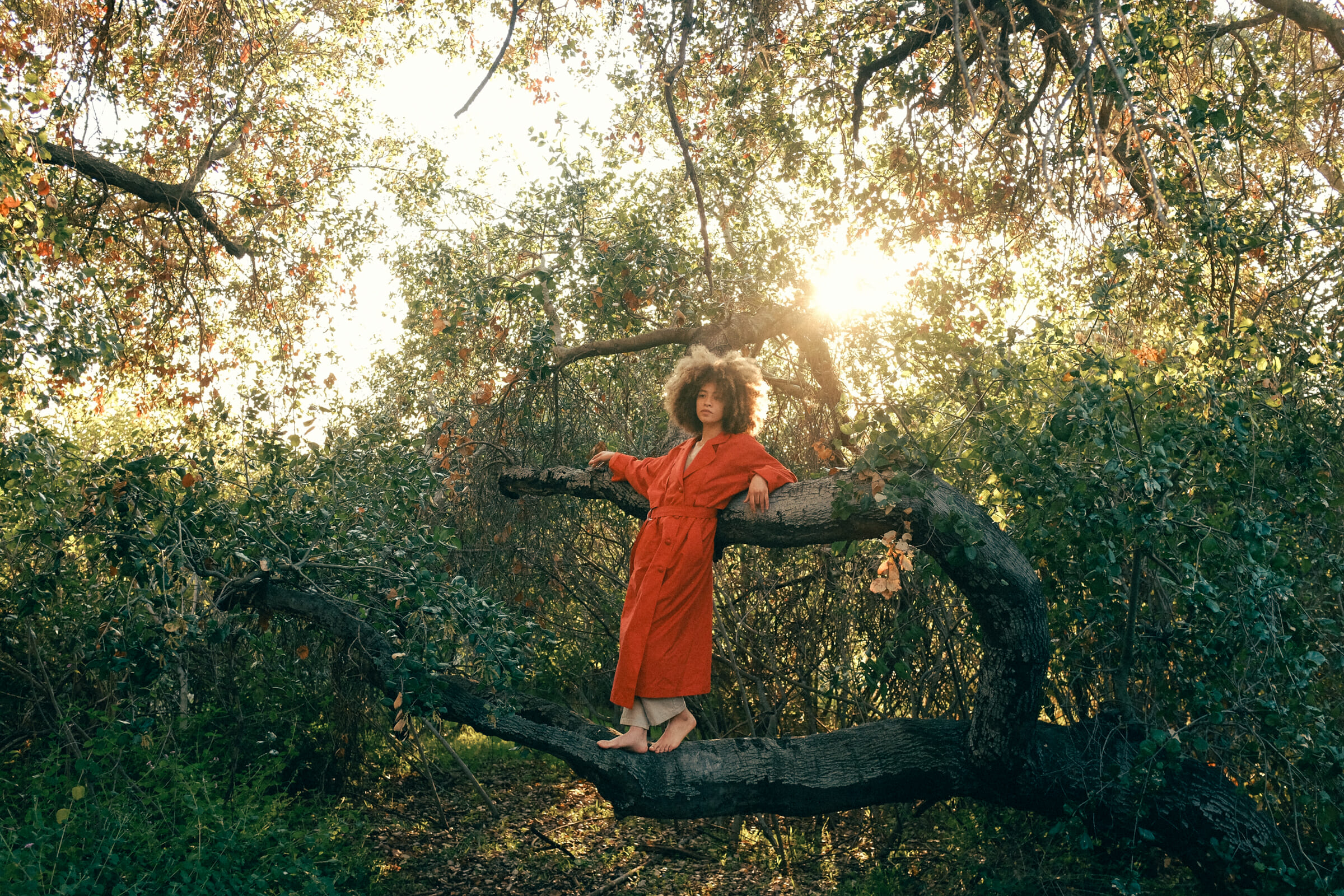 Oasis